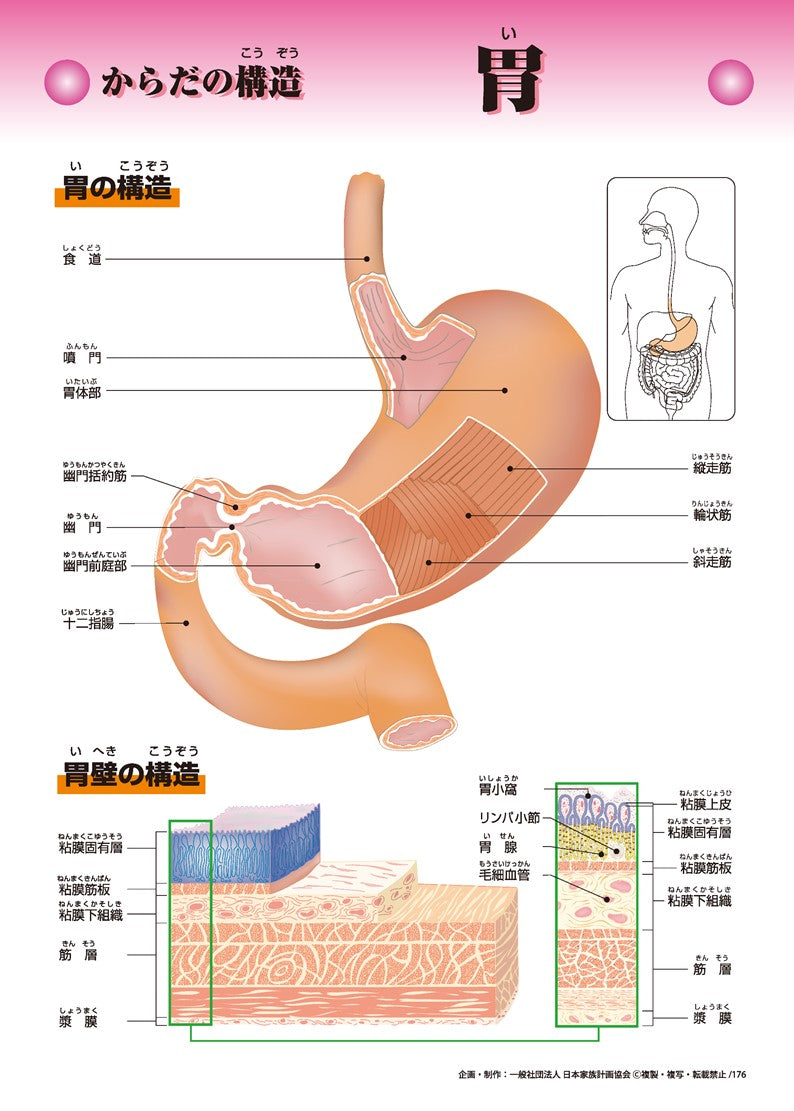 胃 – JFPA®オンラインショップ