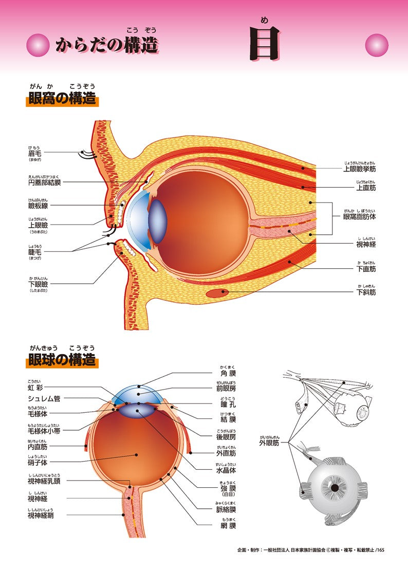 目 – JFPA®オンラインショップ