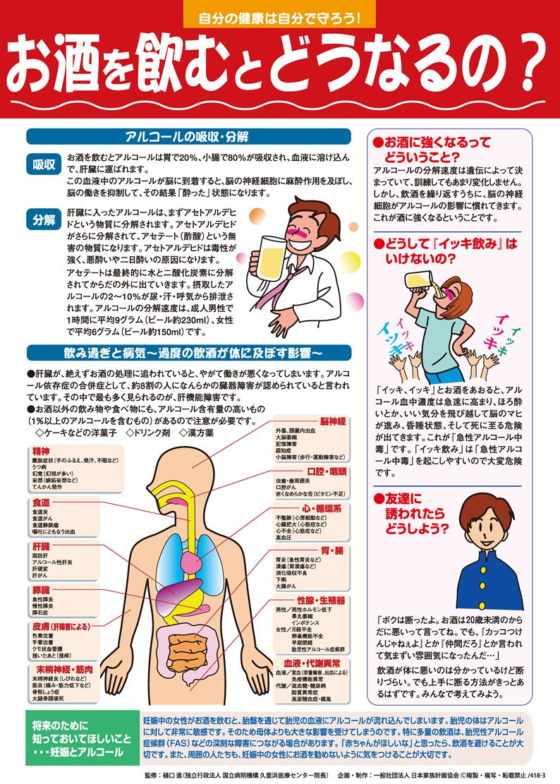 お酒を飲むとどうなるの？ – JFPA®オンラインショップ