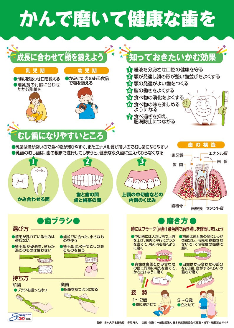 かんで磨いて健康な歯を – JFPA®オンラインショップ
