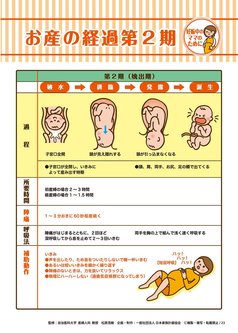 お産の経過 第2期 – JFPA®オンラインショップ