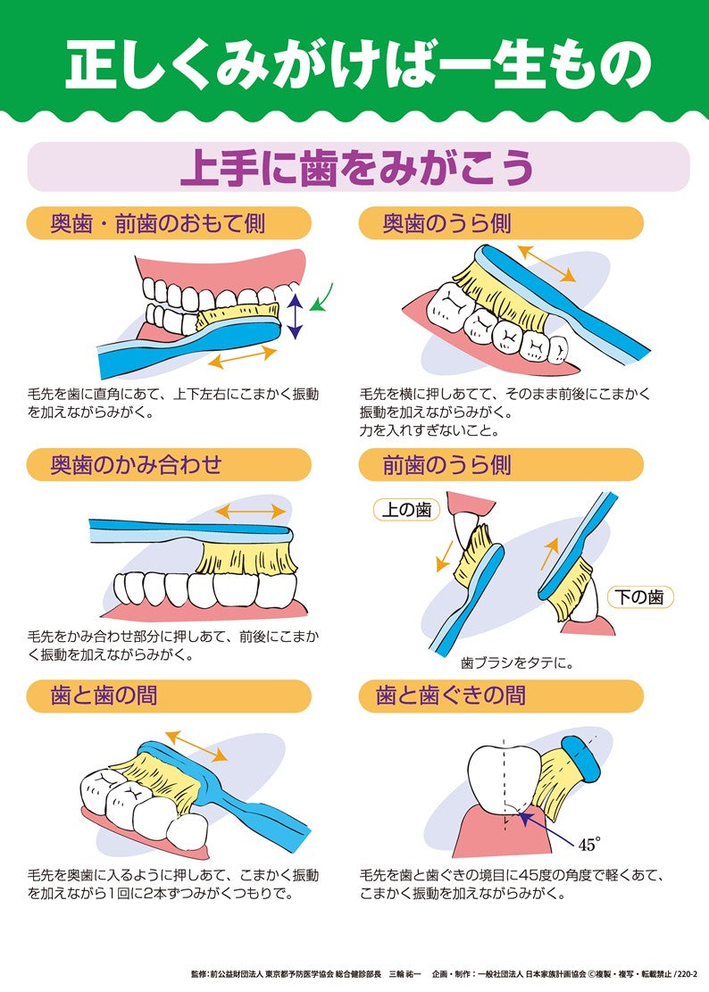 正しくみがけば一生もの – JFPA®オンラインショップ