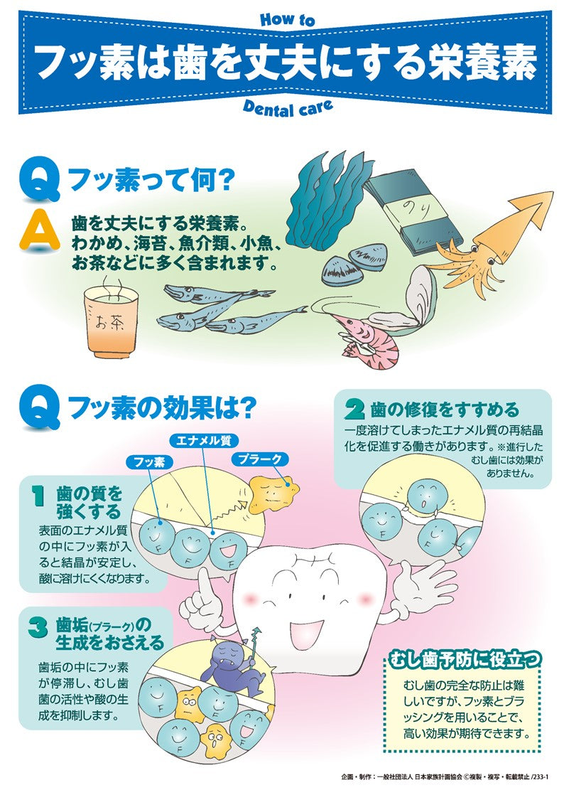 フッ素は歯を丈夫にする栄養素 – JFPA®オンラインショップ