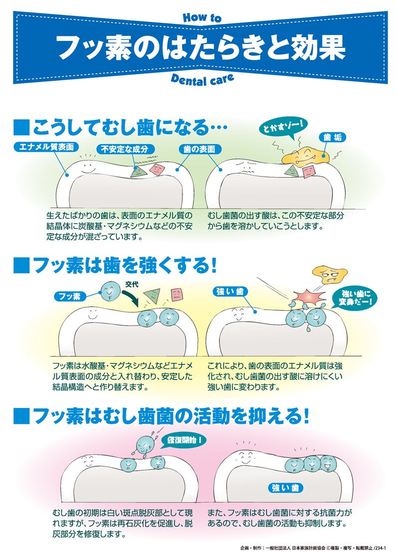 フッ素のはたらきと効果 – JFPA®オンラインショップ