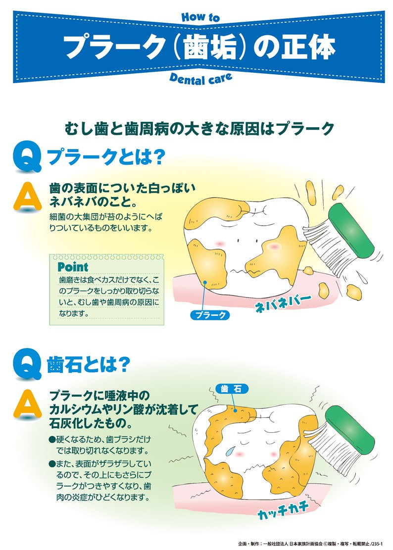 プラーク（歯垢）の正体 – JFPA®オンラインショップ