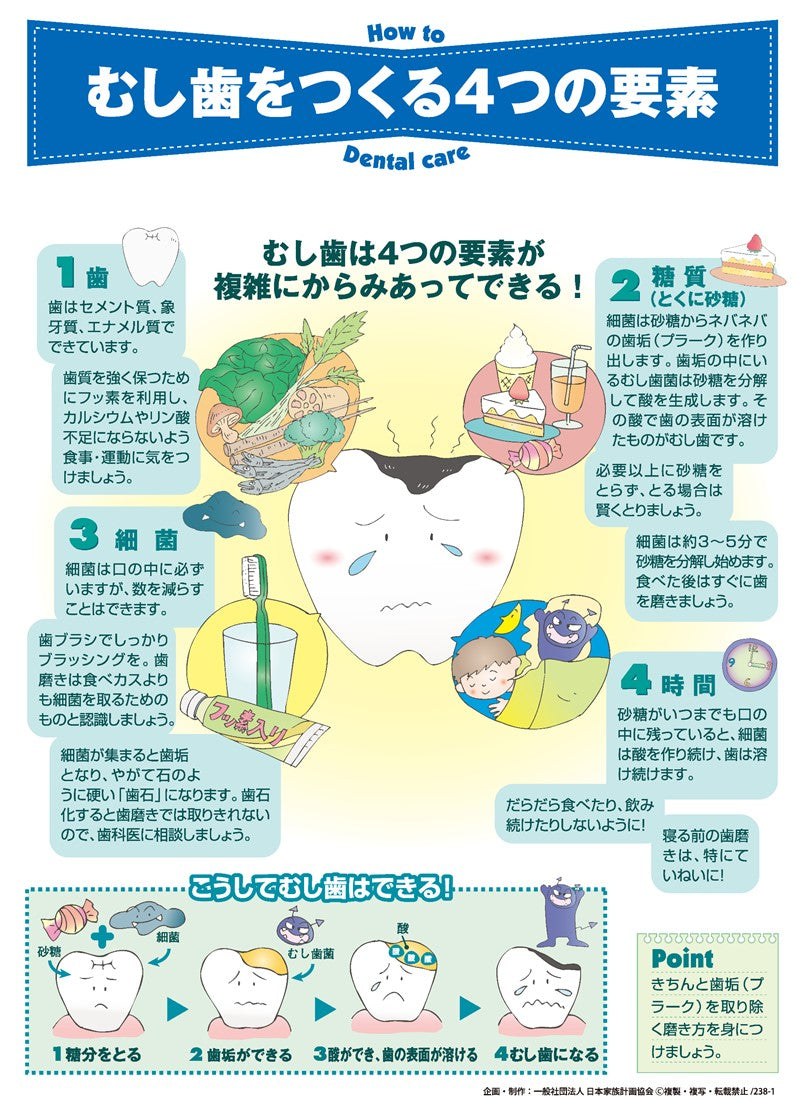 むし歯をつくる4つの要素 – JFPA®オンラインショップ