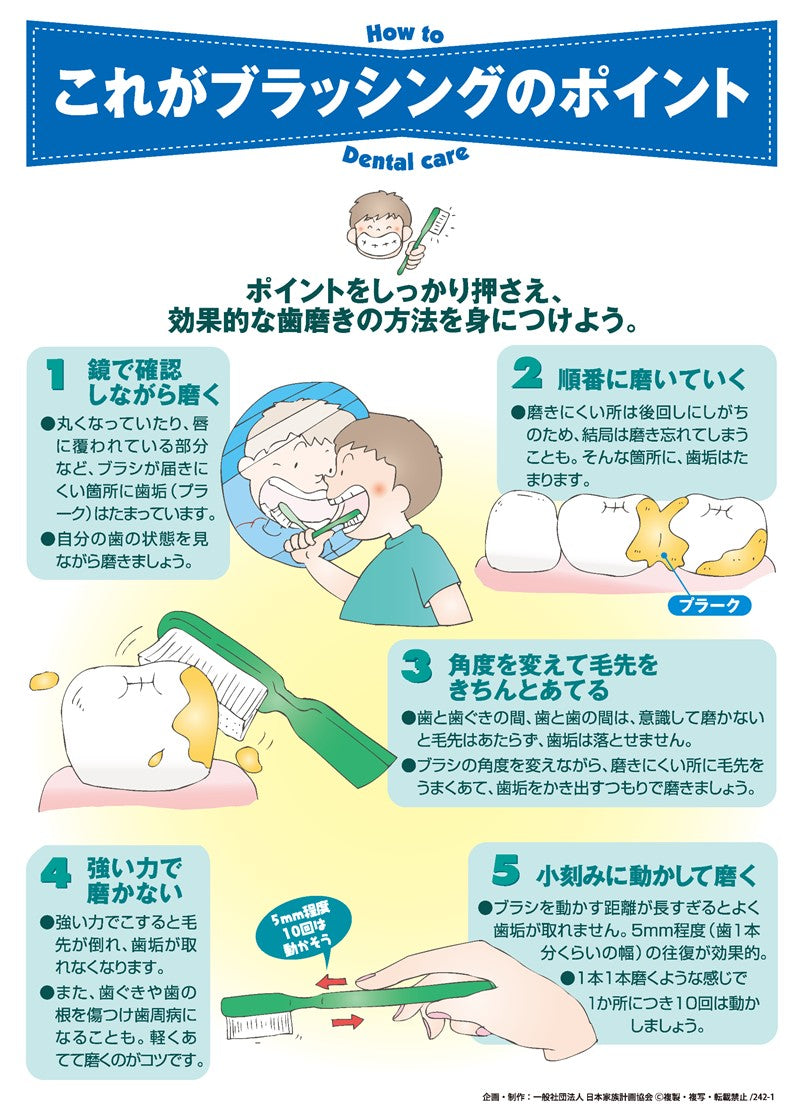 これがブラッシングのポイント – JFPA®オンラインショップ