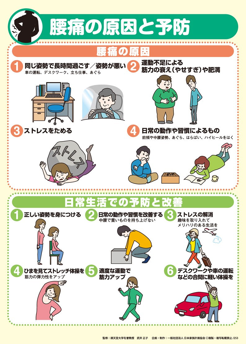腰痛の原因と予防 – JFPA®オンラインショップ