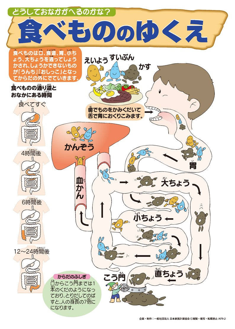 食べもののゆくえ – JFPA®オンラインショップ