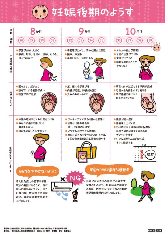 妊娠後期のようす 文字少なめver – JFPA®オンラインショップ