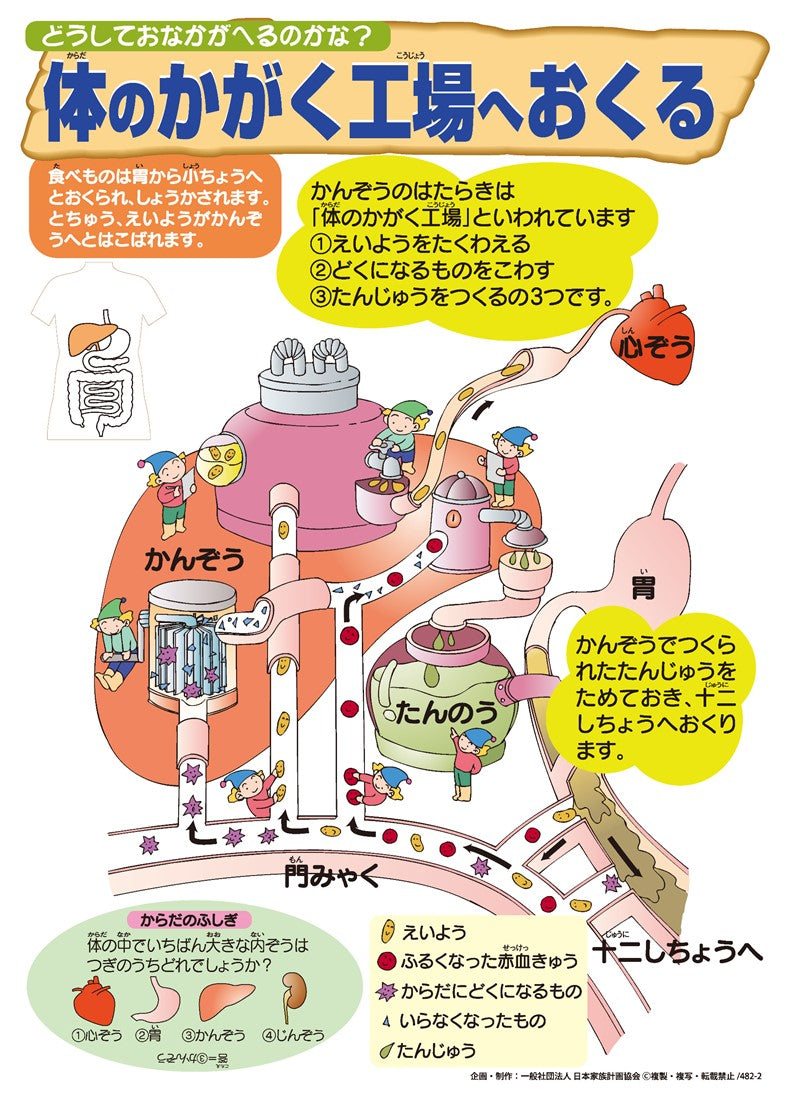 体のかがく工場へおくる – JFPA®オンラインショップ