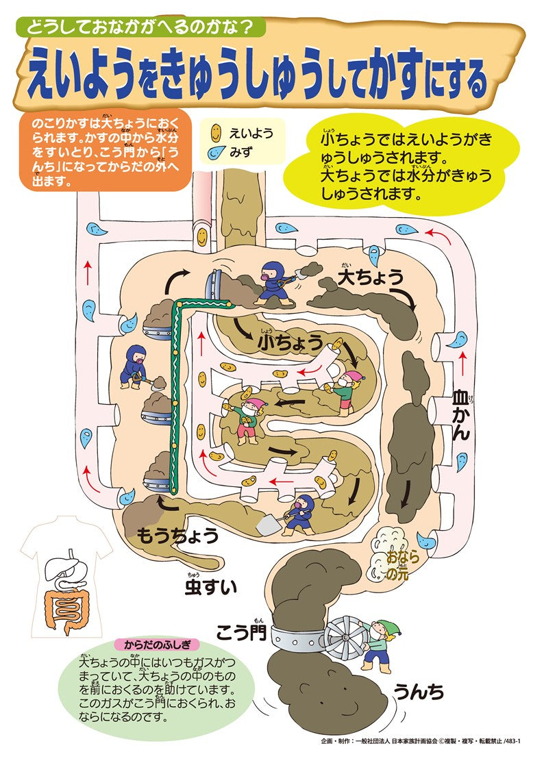 えいようをきゅうしゅうしてかすにする – JFPA®オンラインショップ