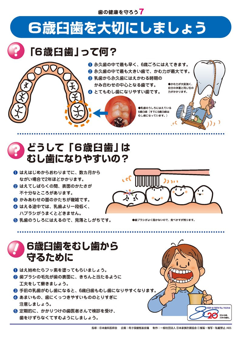 6歳臼歯を大切にしましょう – JFPA®オンラインショップ