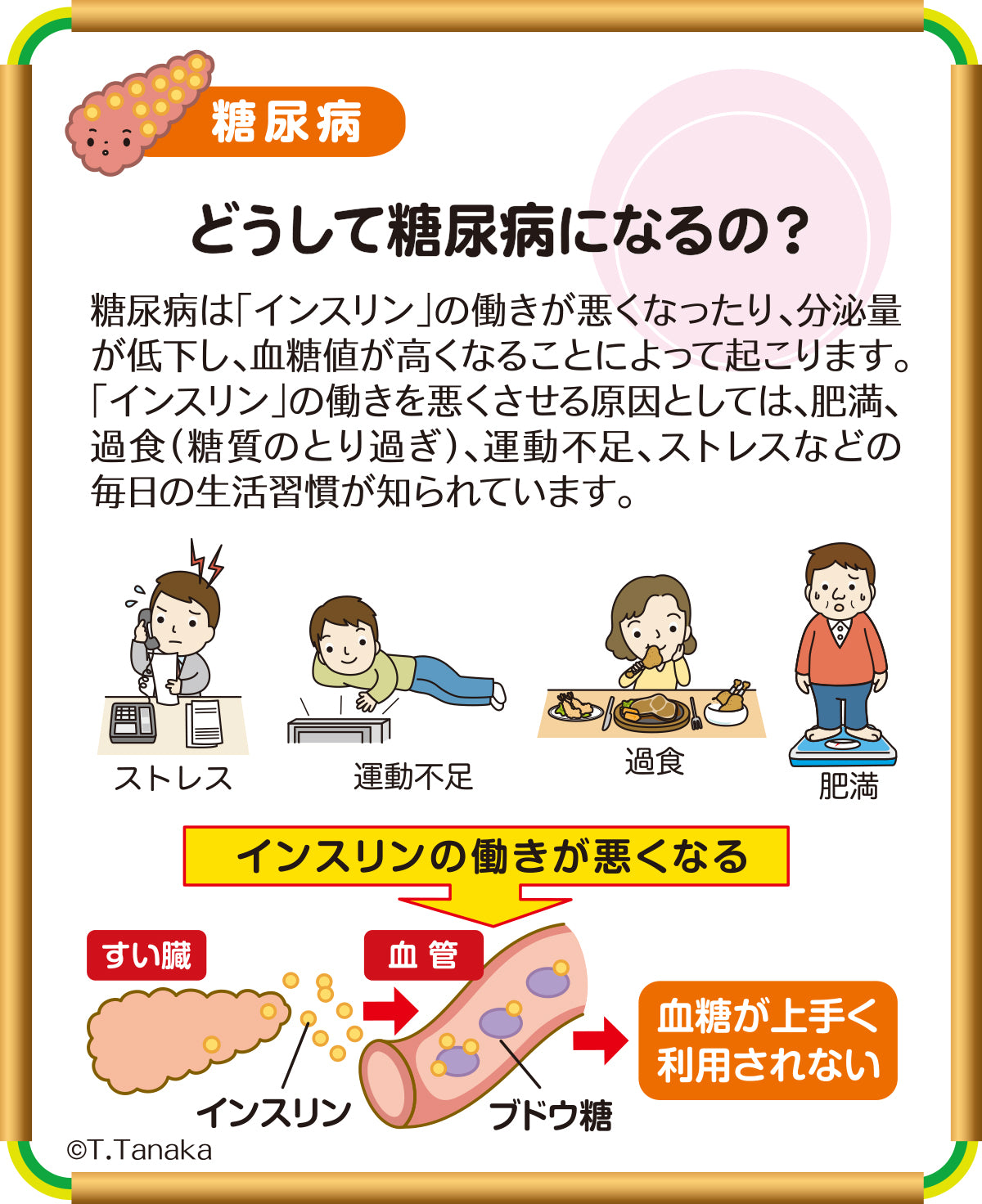 B-154 どうして糖尿病になるの？ – JFPA®オンラインショップ