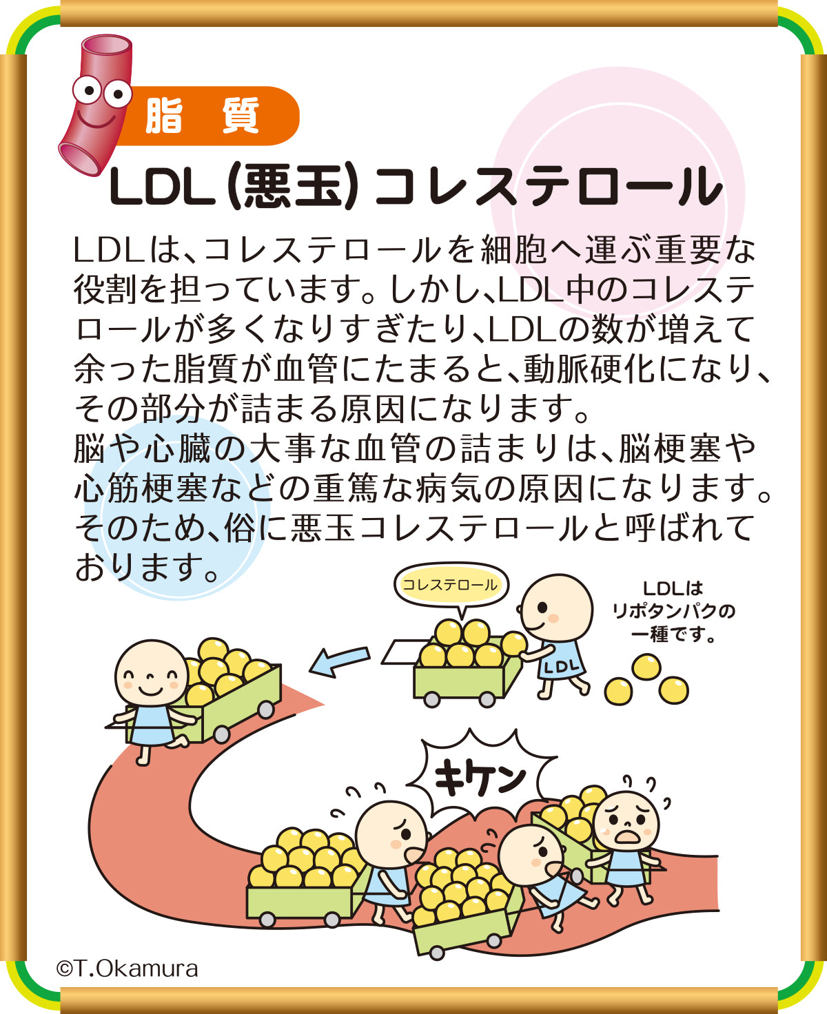 B-171 LDL（悪玉）コレステロール – JFPA®オンラインショップ