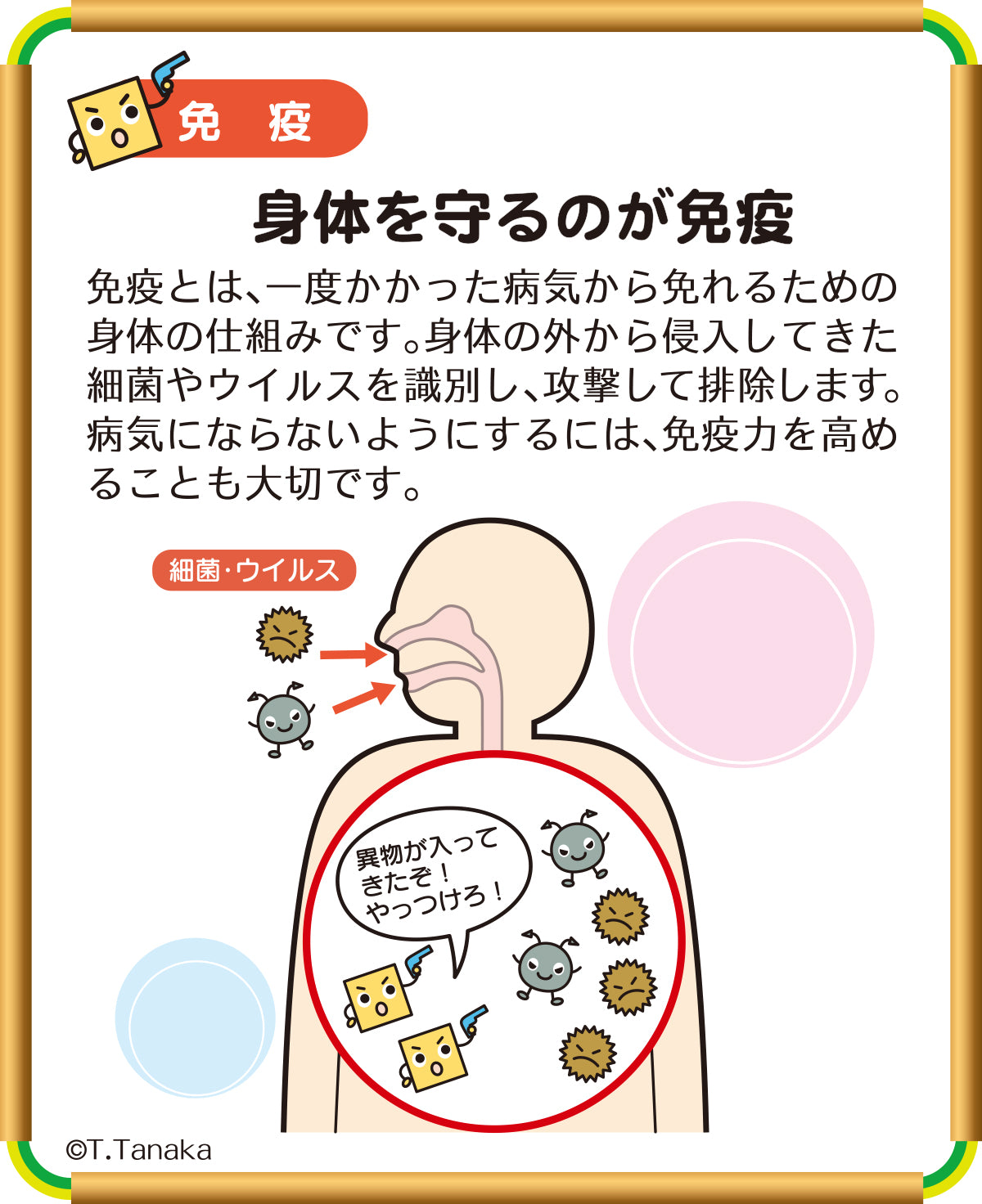 B-235 身体を守るのが免疫 – JFPA®オンラインショップ