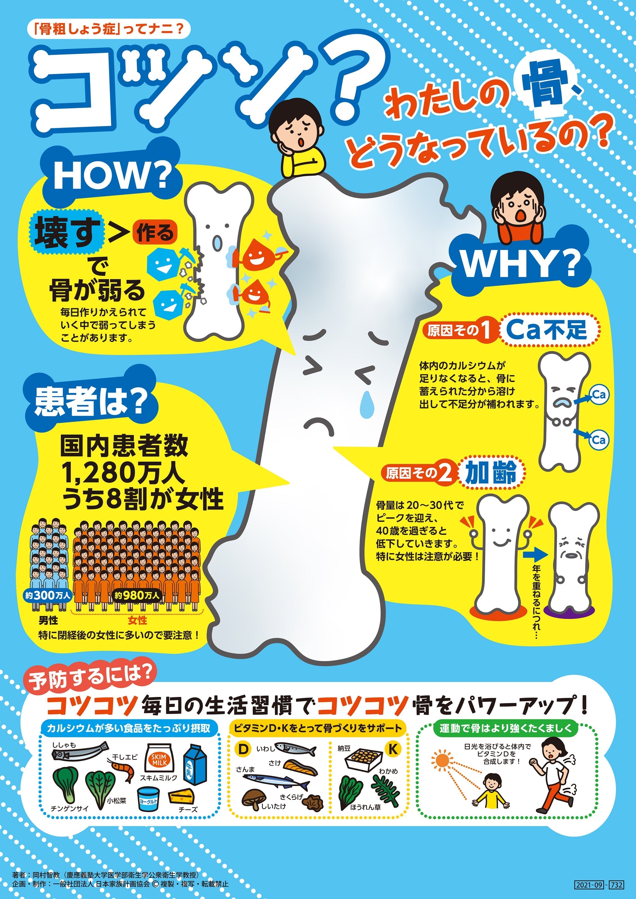 コツソ？ わたしの骨、どうなっているの？ 文字少なめver – JFPA®オンラインショップ