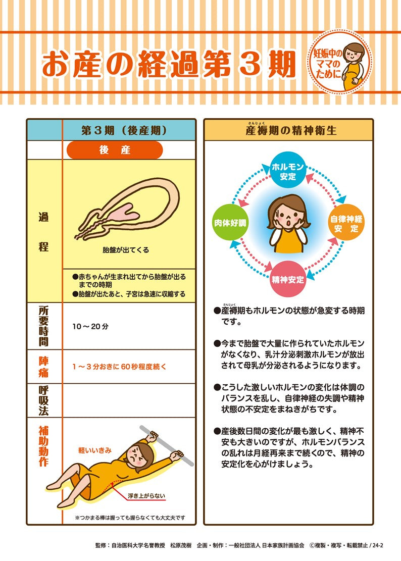 お産の経過 第3期 – JFPA®オンラインショップ