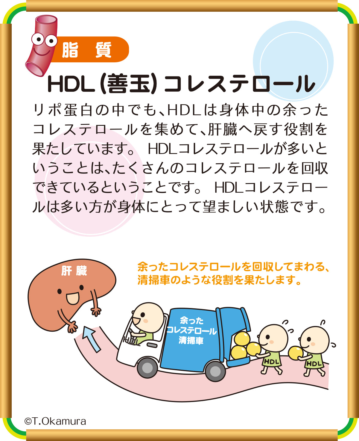 B-172 HDL（善玉）コレステロール – JFPA®オンラインショップ