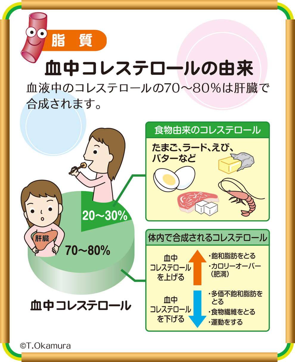 B-178 血中コレステロールの由来 – JFPA®オンラインショップ