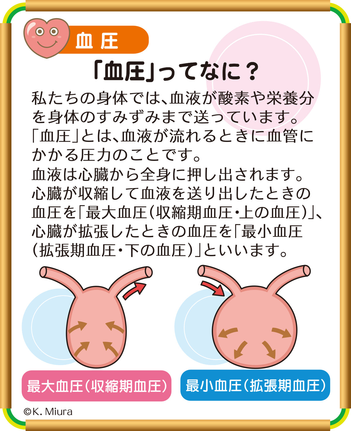 B-184 「血圧」ってなあに？ – JFPA®オンラインショップ