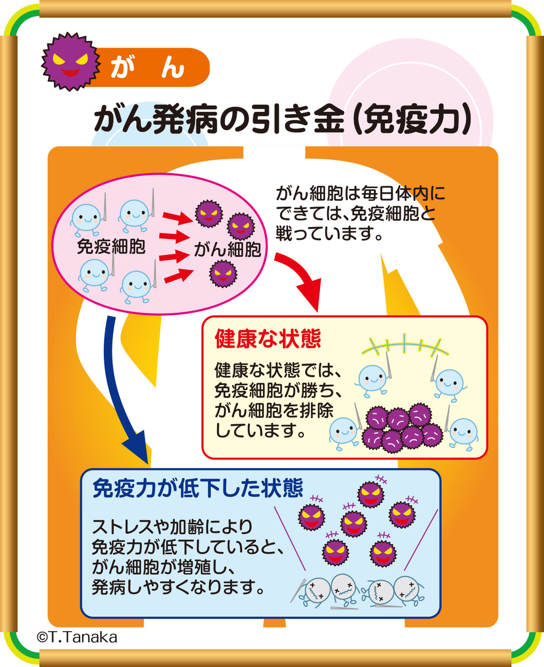 B-234 がん発病の引き金（免疫力） – JFPA®オンラインショップ