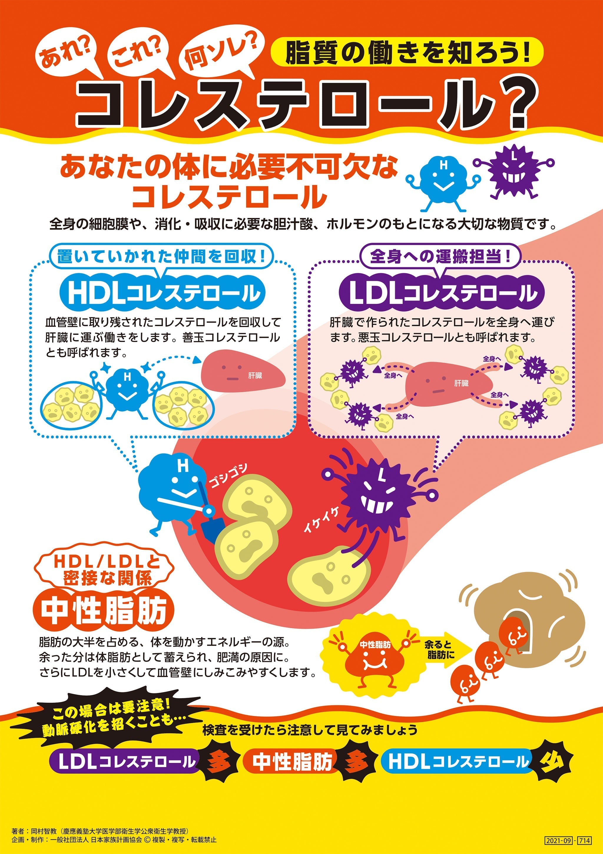 あれ？これ？何ソレ？ コレステロール？ 文字少なめver – JFPA®オンラインショップ